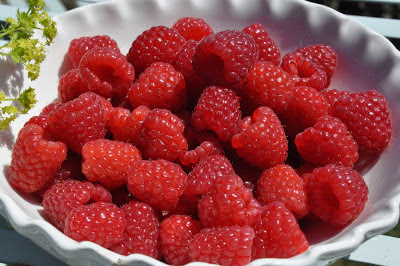 AGEN HENNA GOLECHA: Kandungan Dan Manfaat Raspberry