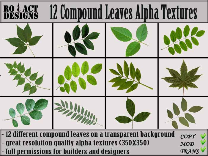 Ro!Act Designs: ..::RO!ACT::..DESIGNS 12 Compound Leaves Alpha Textures