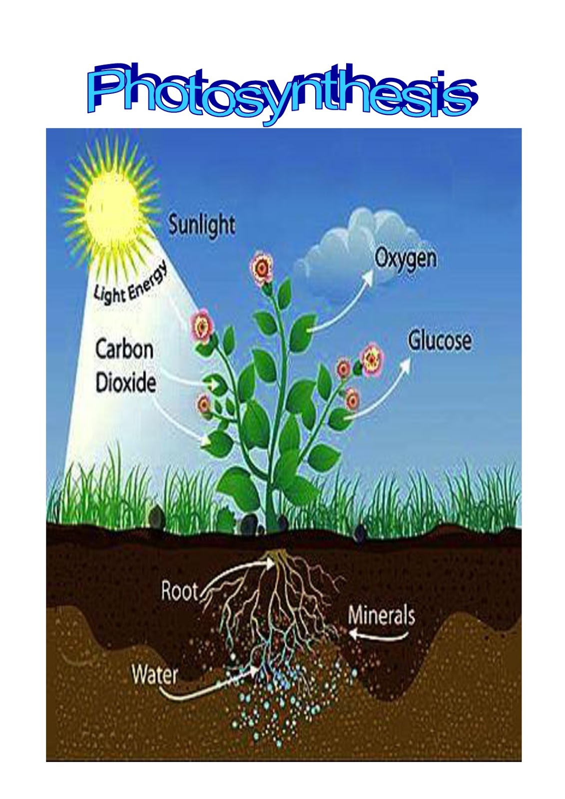 Learning Experiences: octubre 2018