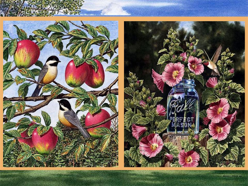 Soloillustratori: Dempsey Essick