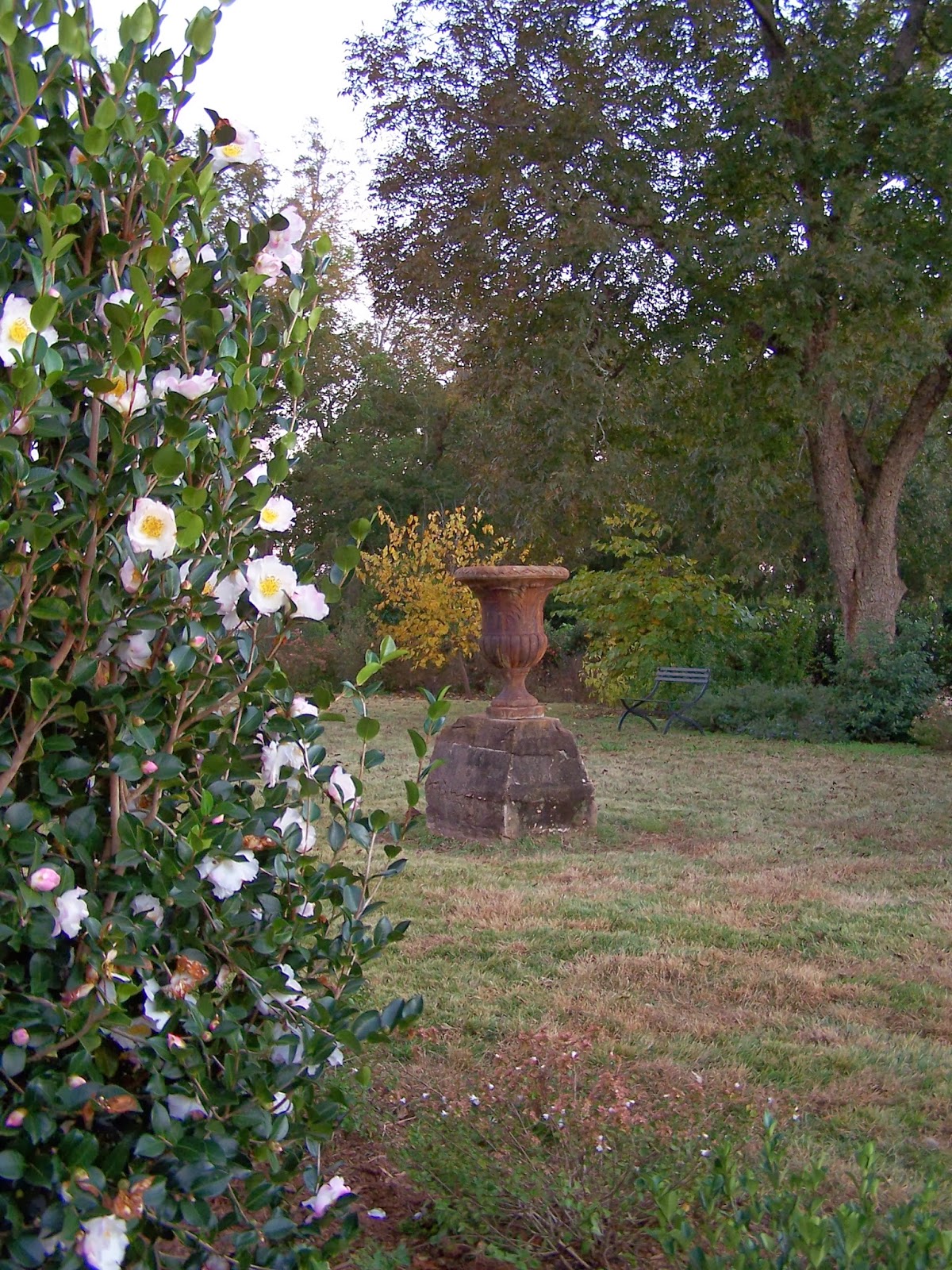 TARA DILLARD: Plinth