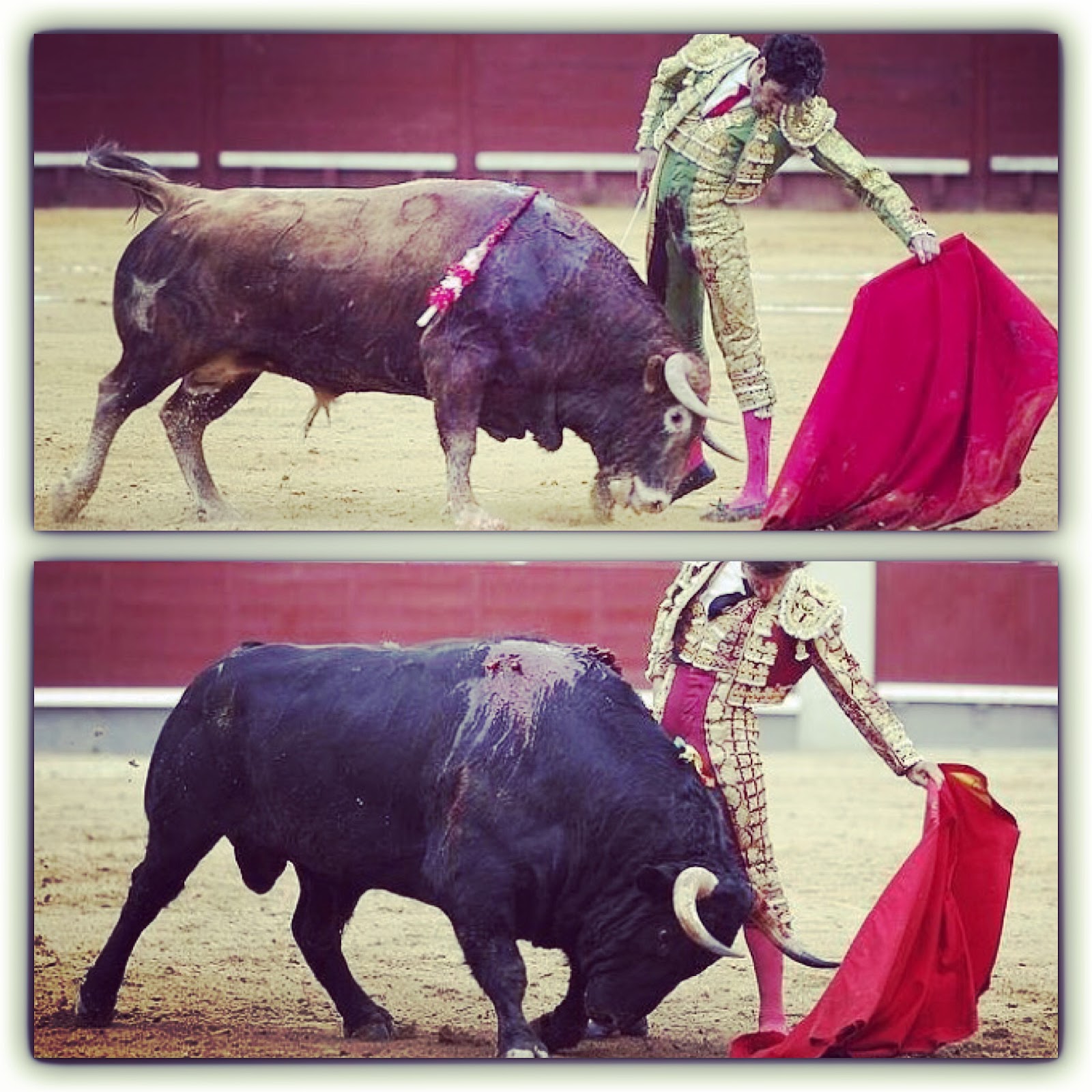 DETOROS Y MAS: Color del Toreo: Lo que dice un natural