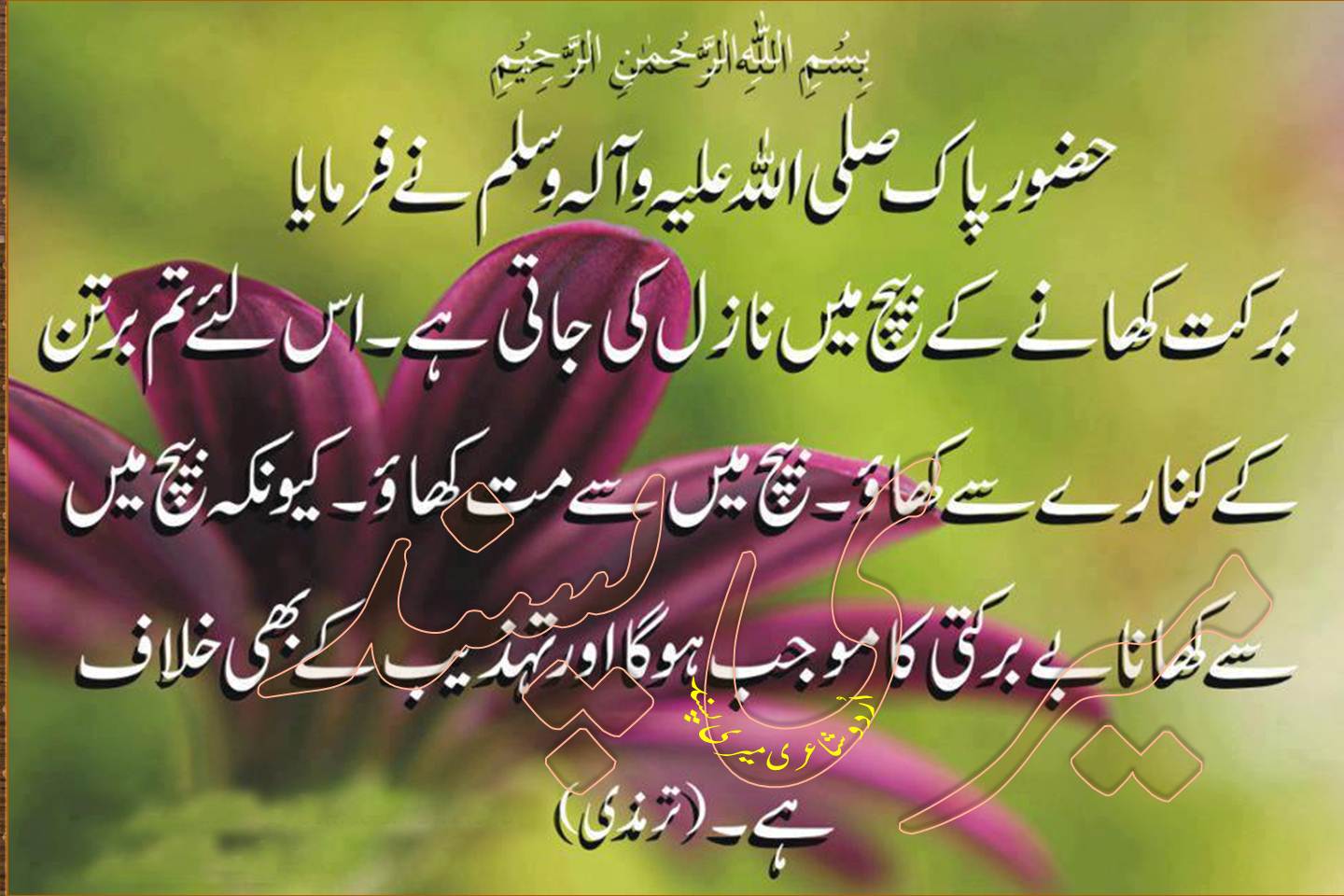 Best Urdu Poetry: Aqwal e Zareen,,, ok