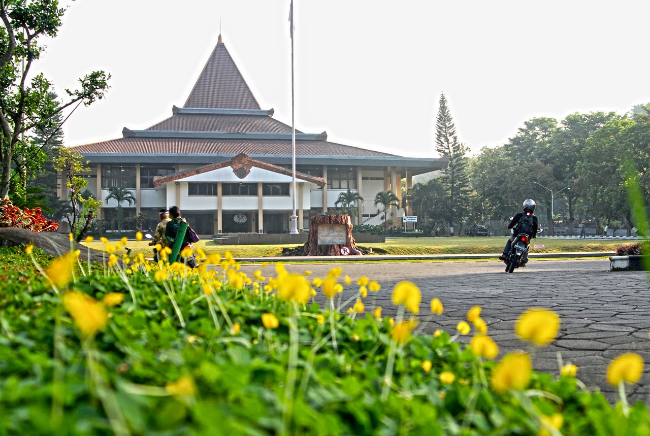 Ujik's Lifeline: OSMARU UNS