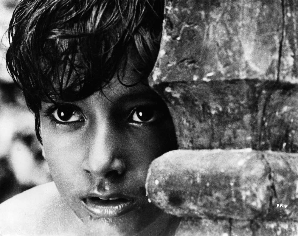 Esculpiendo el tiempo: Pather Panchali (La canción del camino) (Pather ...