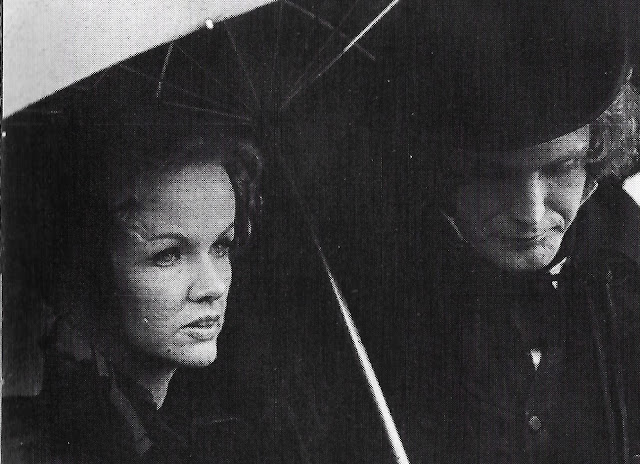 Shadows on the Wall: An Online Dark Shadows Fanzine: Night of Dark ...