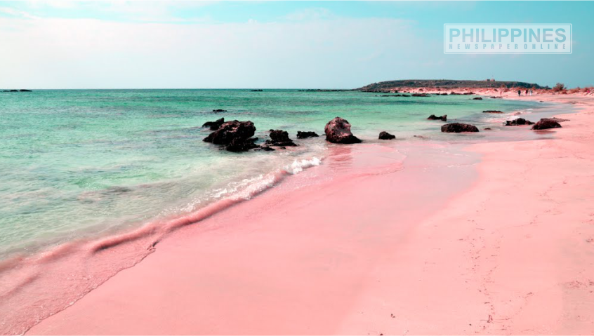 IT'S SUMMER TIME! AMAZING PINK BEACHES HERE IN THE PHILIPPINES - It's ...