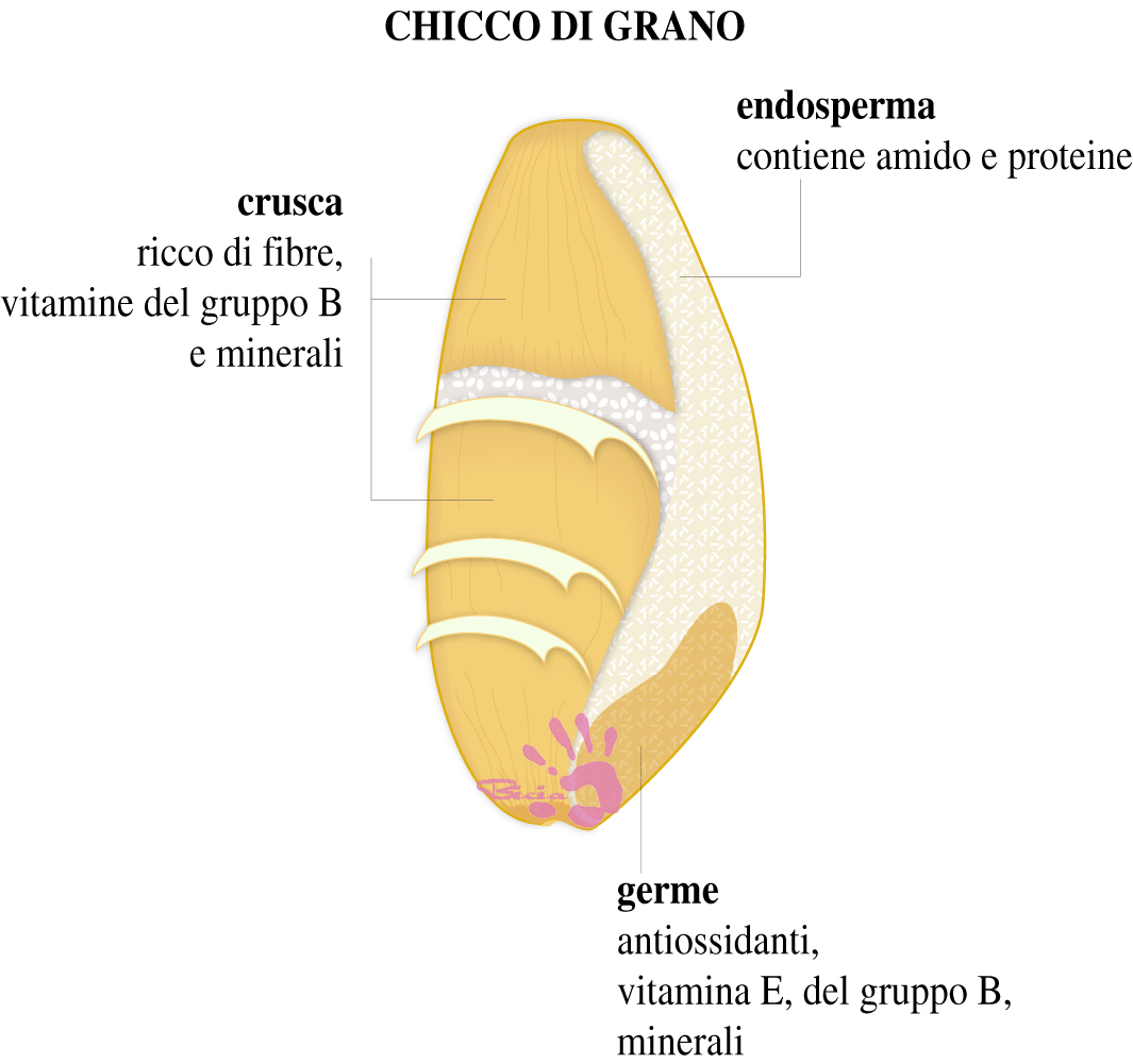 vaniglia e fiordilatte: PANE