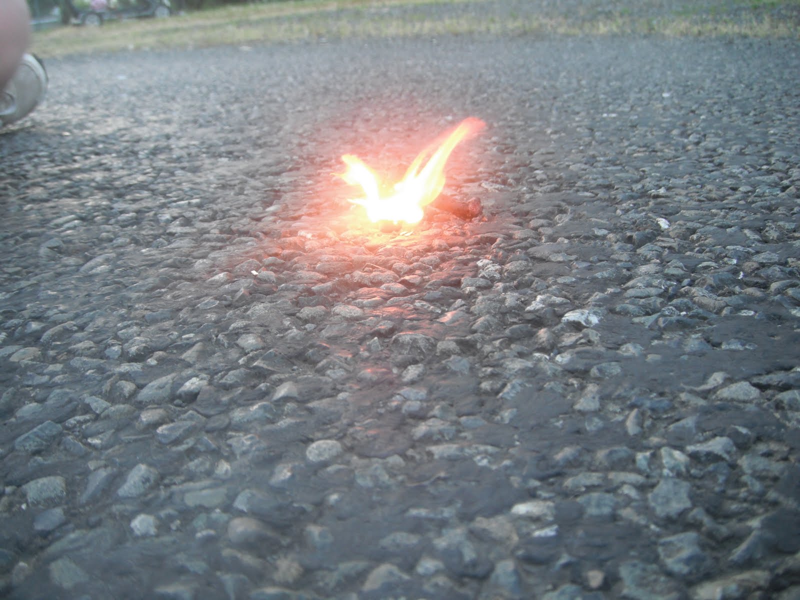 melbourne road: fun with snakes and smoke bombs