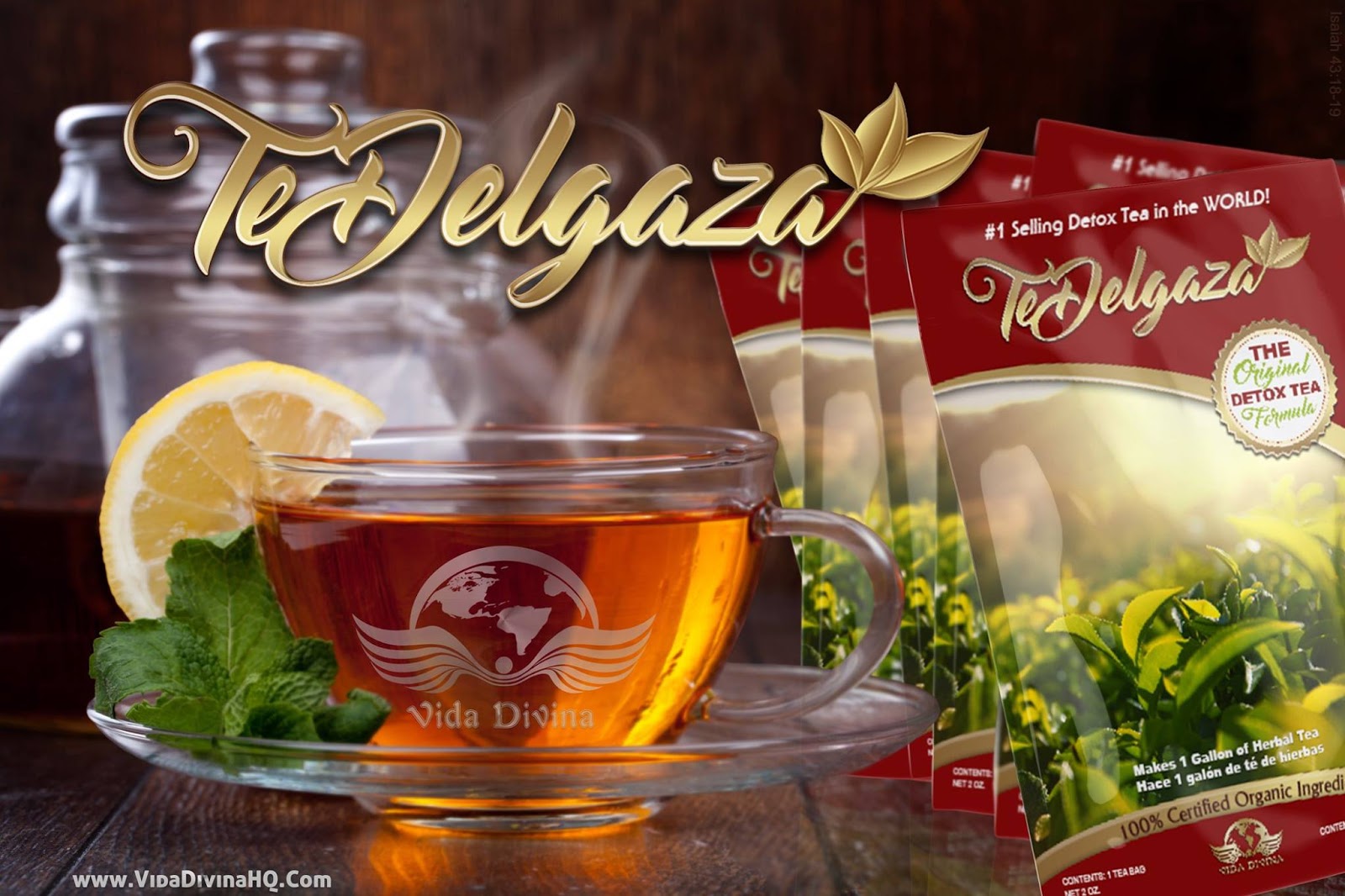 VIDA DIVINA: PRODUCTOS VIDA DIVINA