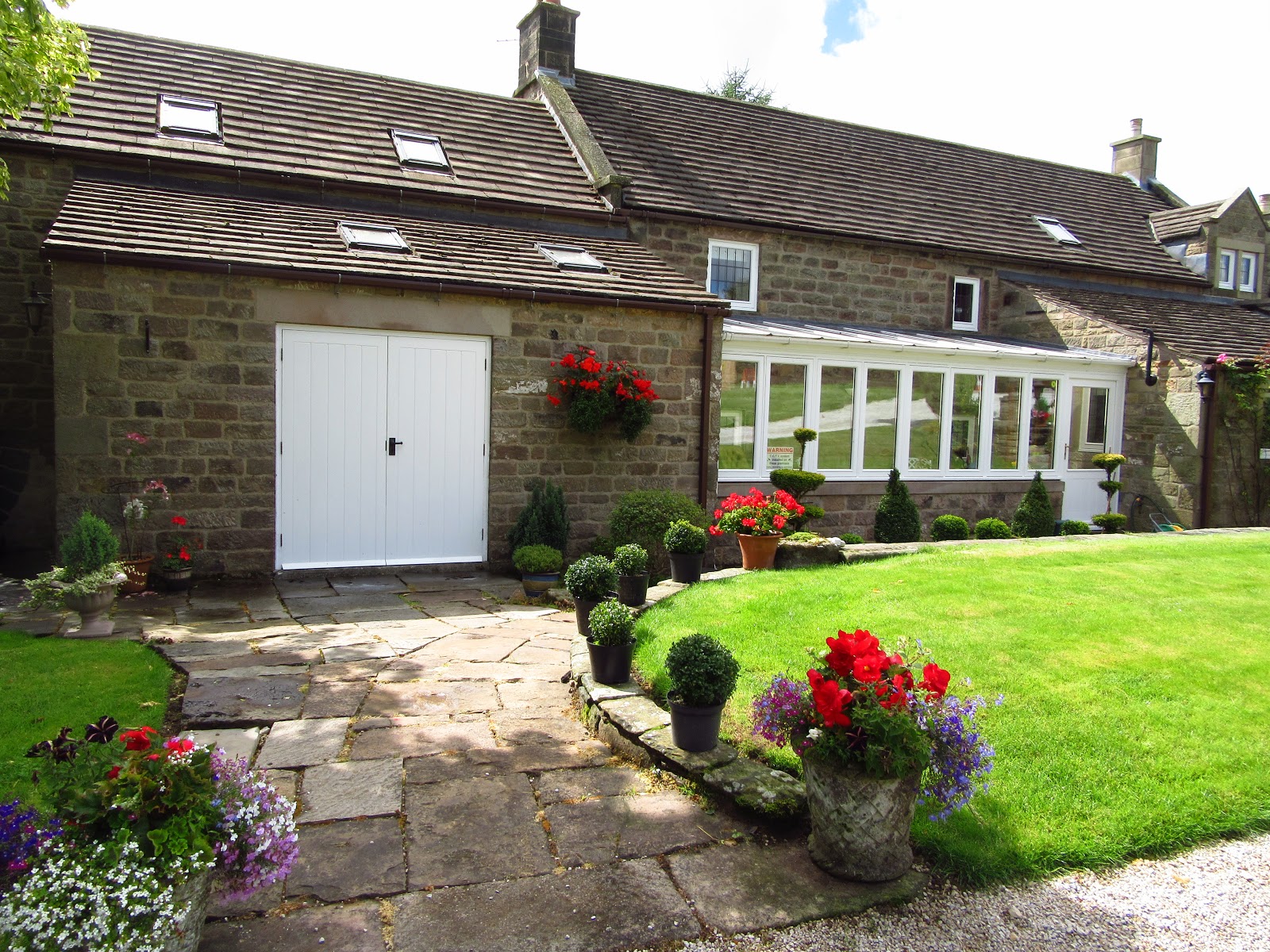 Bunny Mummy: Hilly Fields