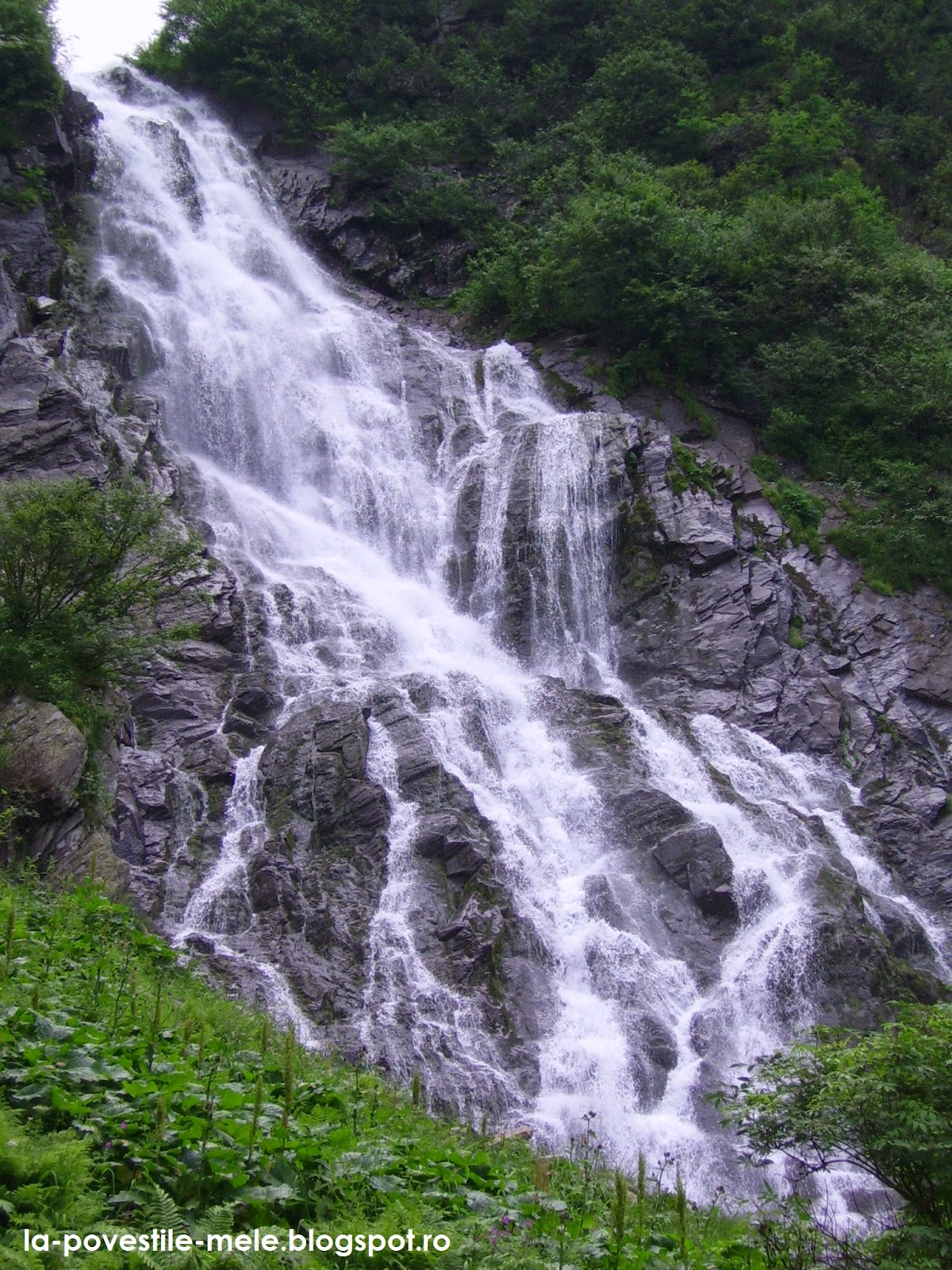 Poveştile mele: Călătorii