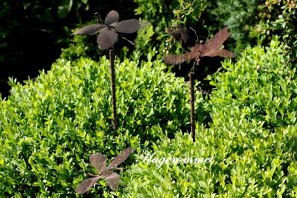 Hagerommet: Store insekter.....