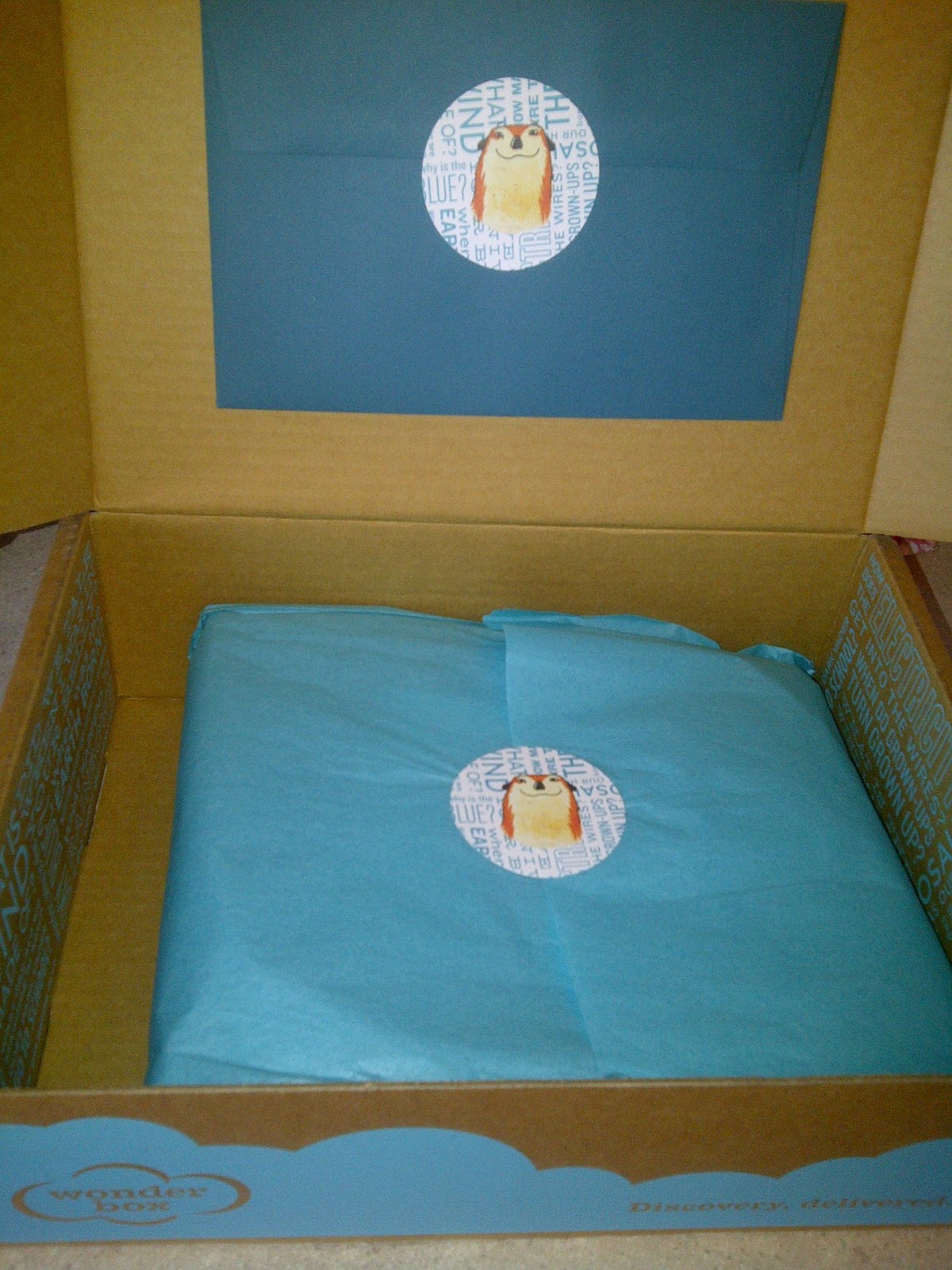 Mama Love: Wonderbox Review!