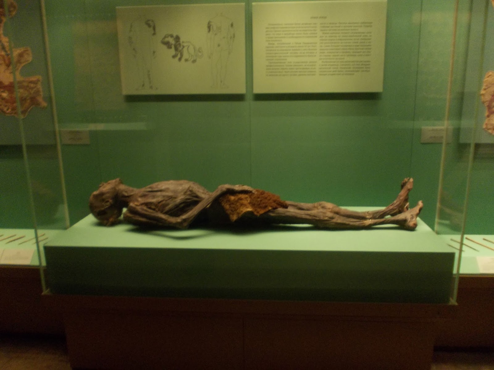 La principessa del ghiaccio di Pazyryk (Siberia) - The Ice Princess ...