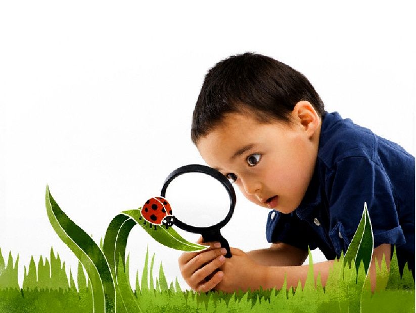 El Blog del Administrador: APRENDIZAJE