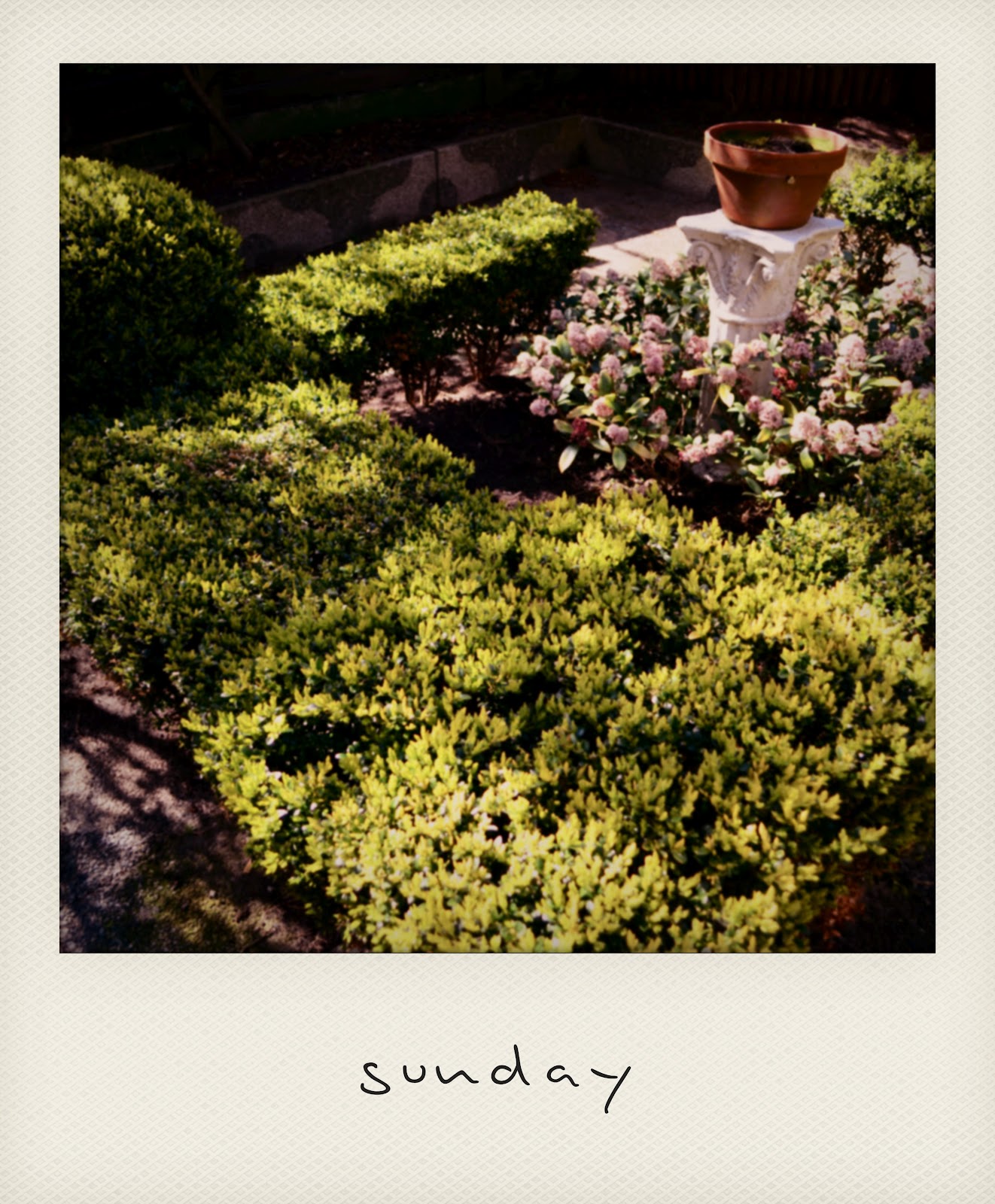 Aesthetic Fauna: Sunday snippets: the week, in retrospect