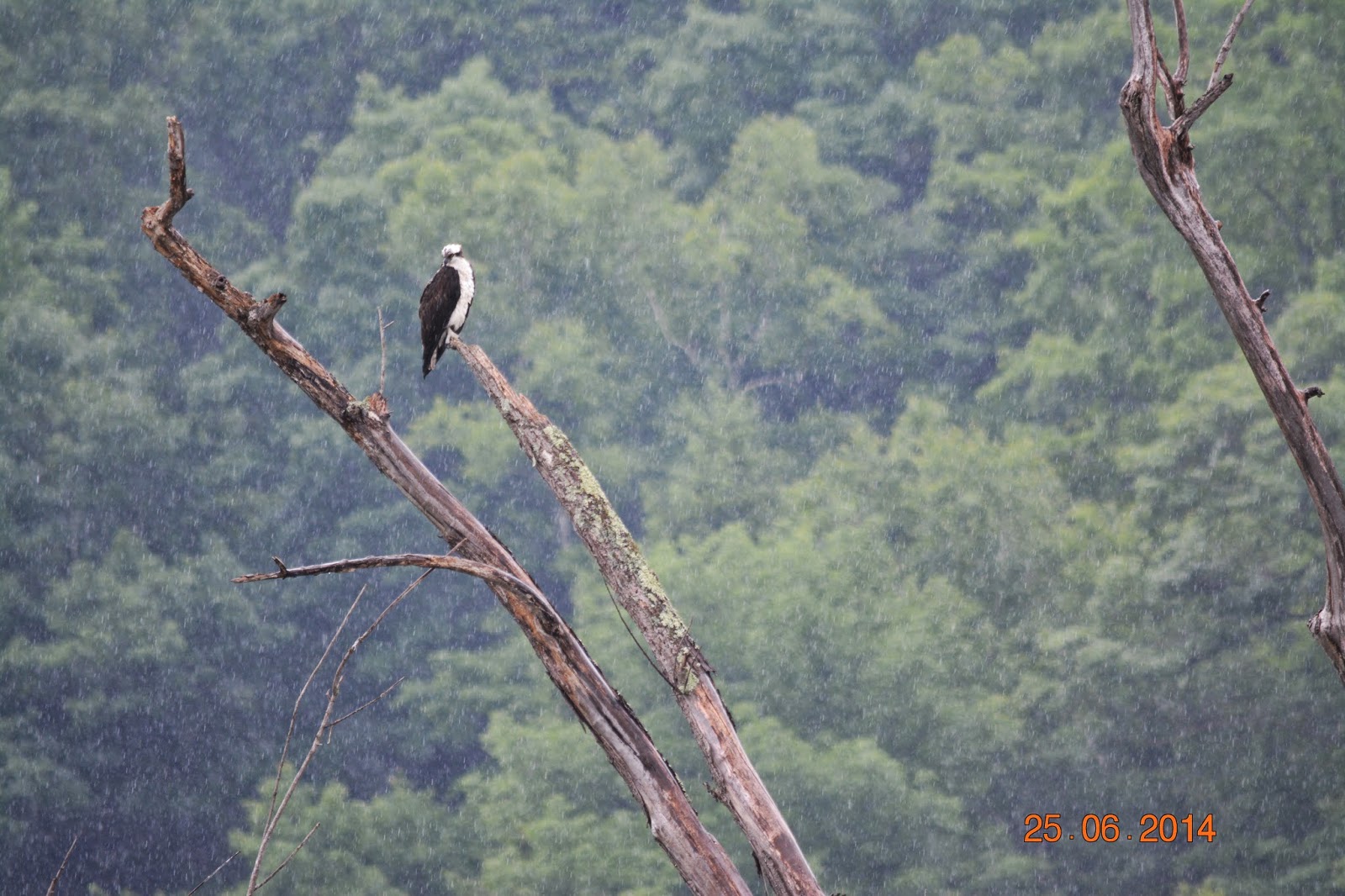 Spirit Journey: 2014-06-24 Ft. Edward to Chipman Point Marina, VT