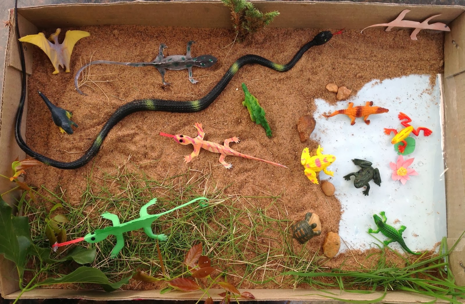 Mom-The First Teacher: Sensory Play: Reptiles and Amphibians (With ...