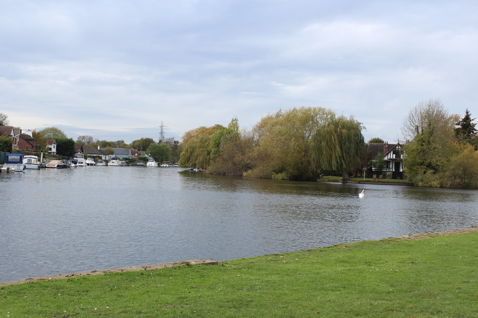 24 Hours in Shepperton Village