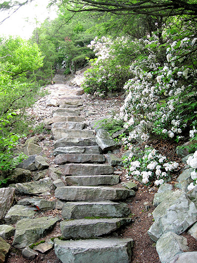 PA Environment Digest Blog: Standing Stone Trail In Central PA Named ...