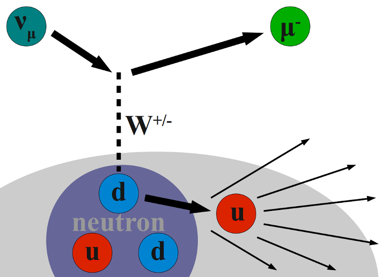 Life at the Subatomic Level: Though fundamentally different Bosons and ...