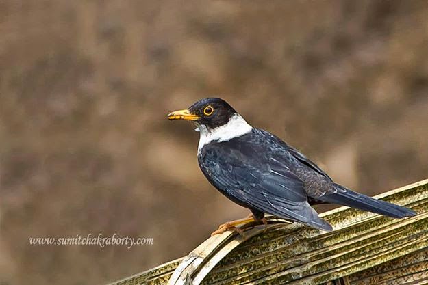 Let's Walk Together And Explore The World. Shall We? : Trip To ...