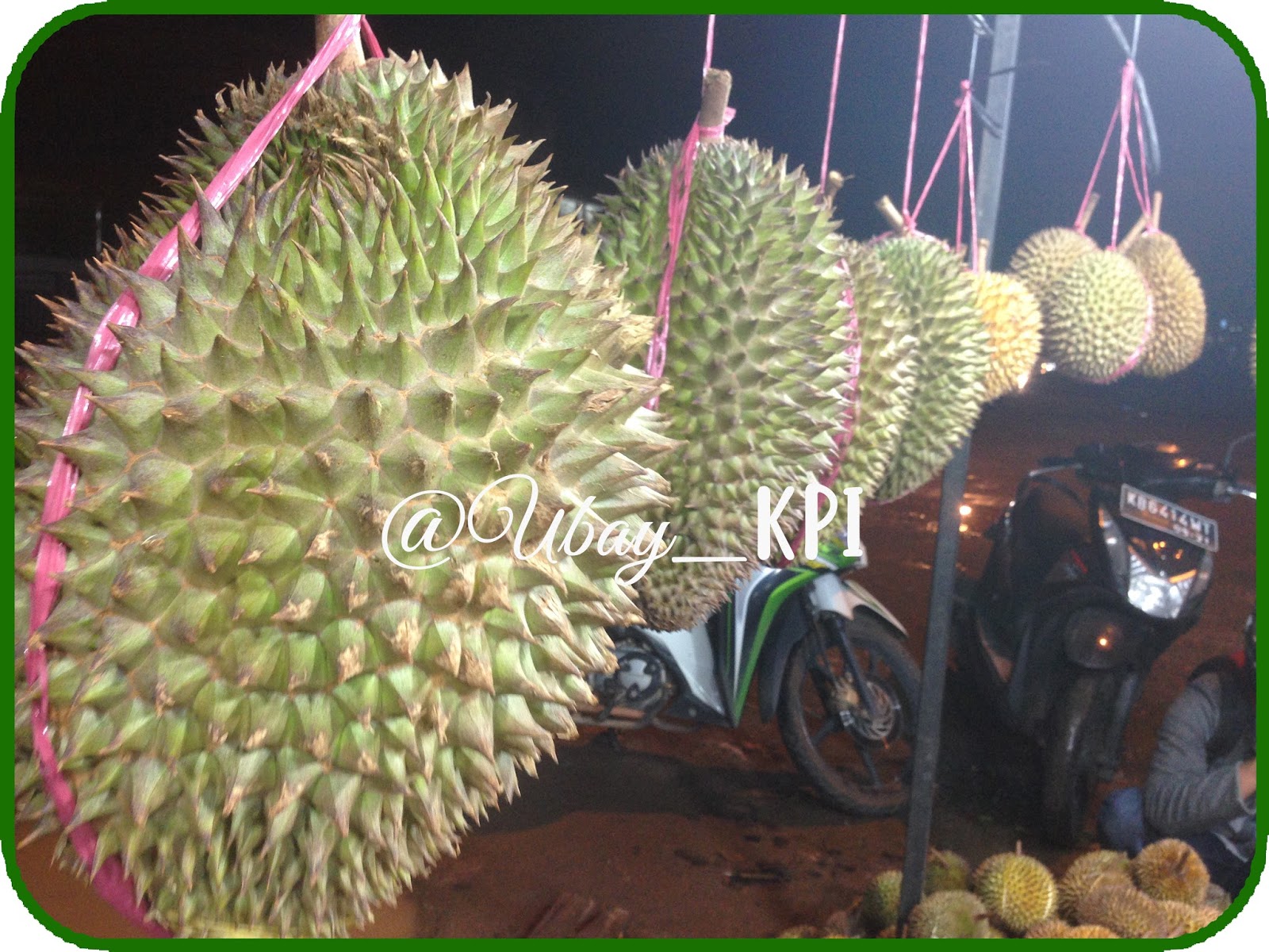 Catatan Anak Desa: Harga Durian Ini Setara Sekarung Beras
