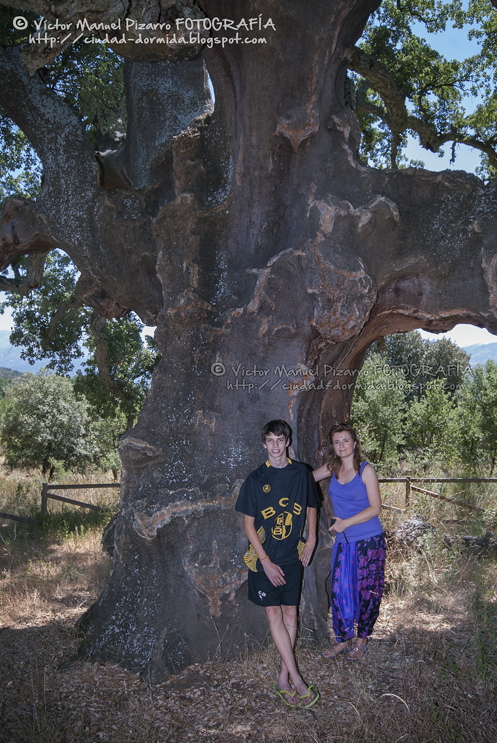 Ciudad-dormida: Árboles Singulares de Extremadura, paseando entre ...