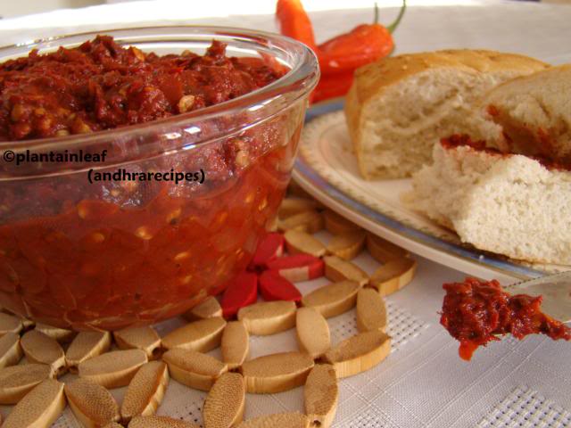 plantain leaf(Andhra Recipes): LIBYAN HARISSA - LIBYAN CHILLI PASTE