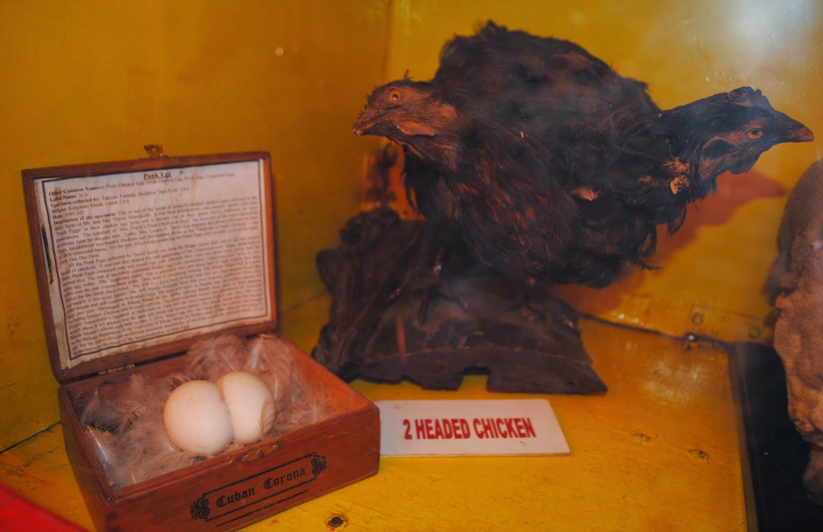 The Carpetbagger: October 2014