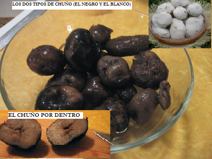 ELABORANDO O FABRICANDO CHUÑO EN CASA