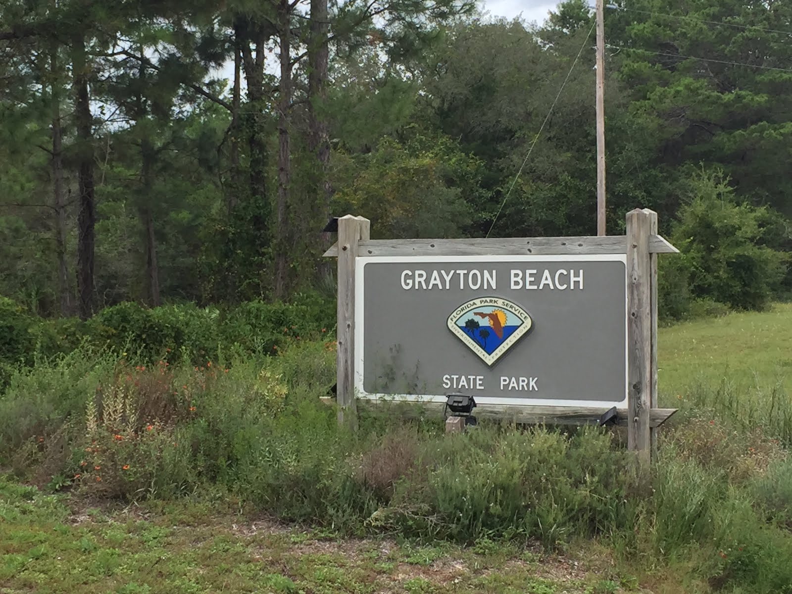 Cozy Rosie: Grayton Beach State Park - Fall 2015