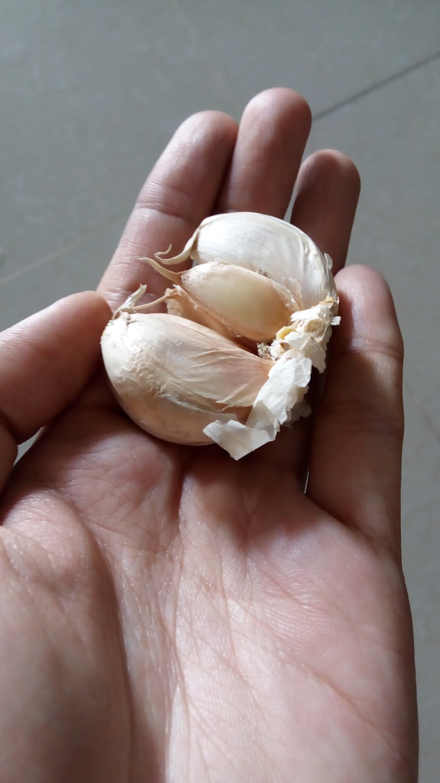 oey's journal: Tips Mengatasi Embun Jelaga Pada Tanaman Mangga