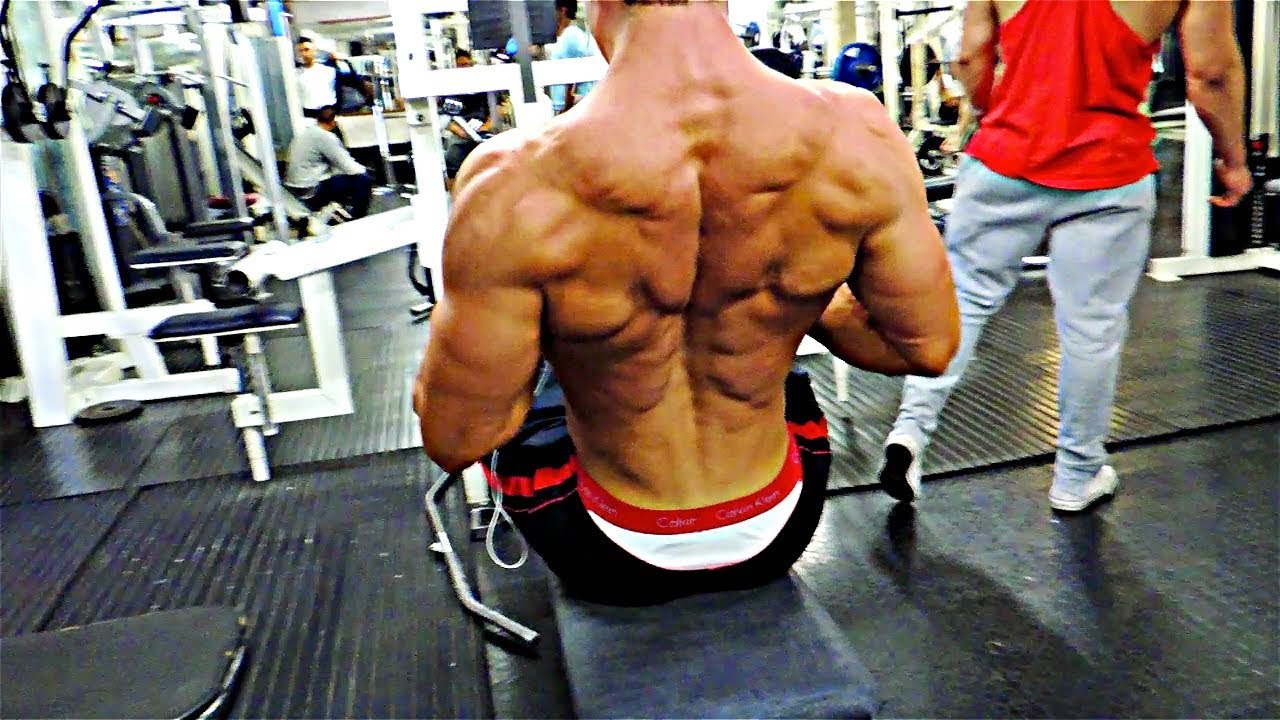 Shoulder Workout w/ Jeff Seid « Bodybuilding