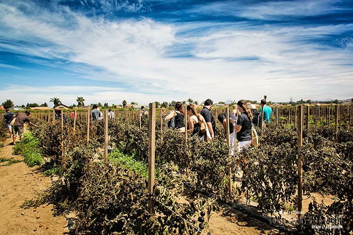 What do you get when you pair an organic farm with a luxury tequila ...
