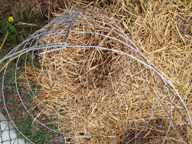 Creative State of Mine: Tubers in tubes--growing lots of potatoes in ...