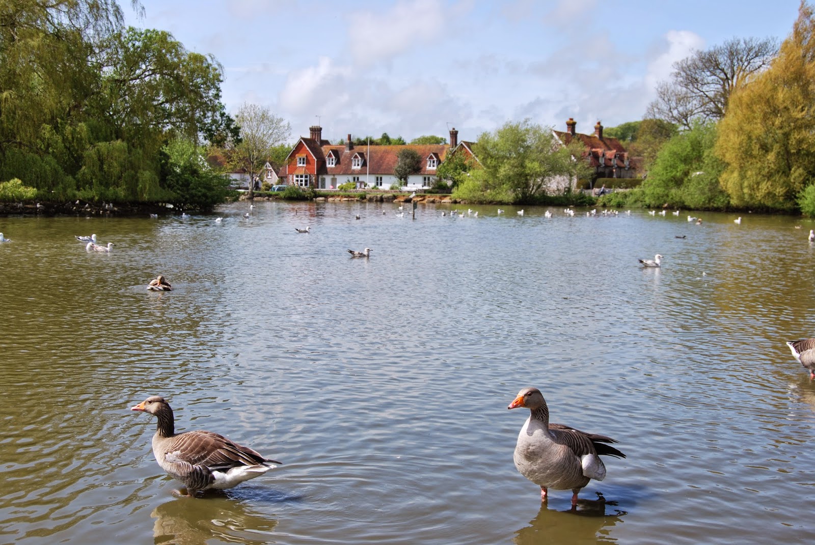 Days out in Sussex - A Country idyll and an abundance of lilac in ...