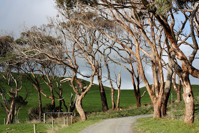 Little Glowing Lights: Long Weekend - Marrawah