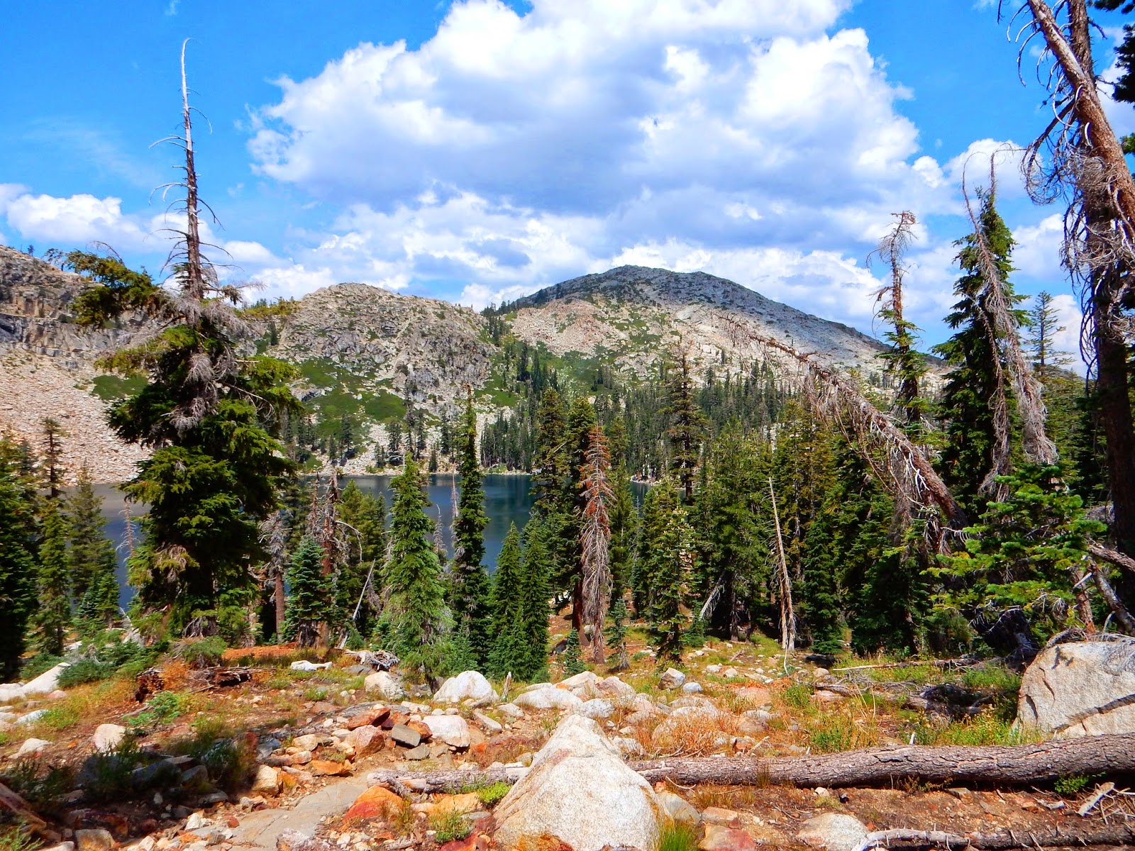 Peachy Hiker: McConnell Lake Loop ~ Primitive Trail ~ in Desolation ...