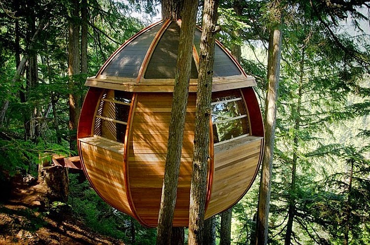 Coolest Cabins: 'The Acorn' cabin