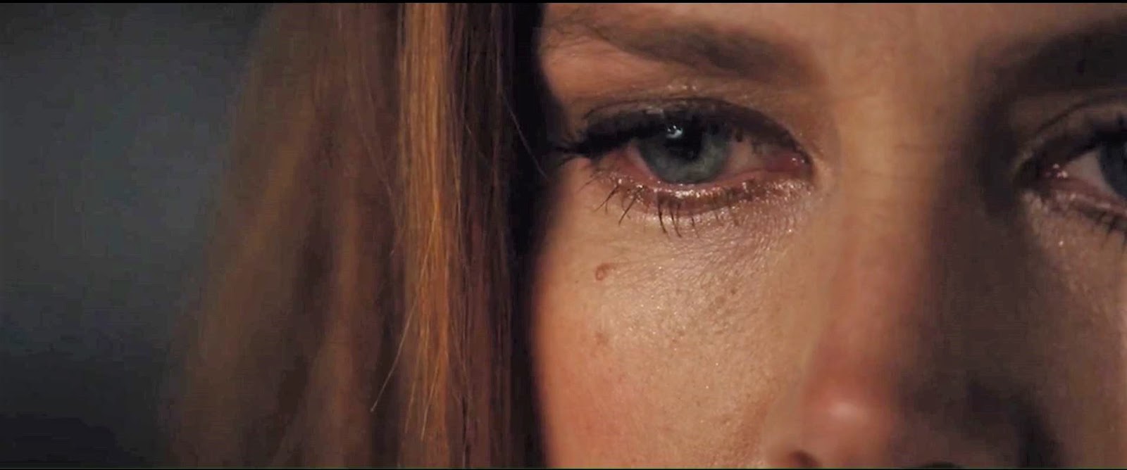 DREAMS ARE WHAT LE CINEMA IS FOR...: NOCTURNAL ANIMALS 2016