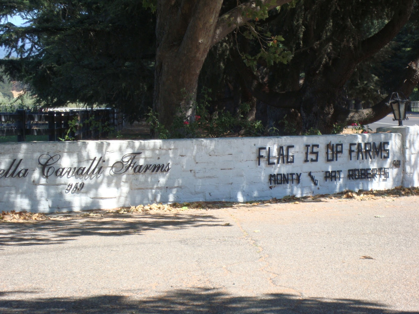 Highway Runner: MONTY ROBERTS' FLAG IS UP FARM, SOLVANG, CA