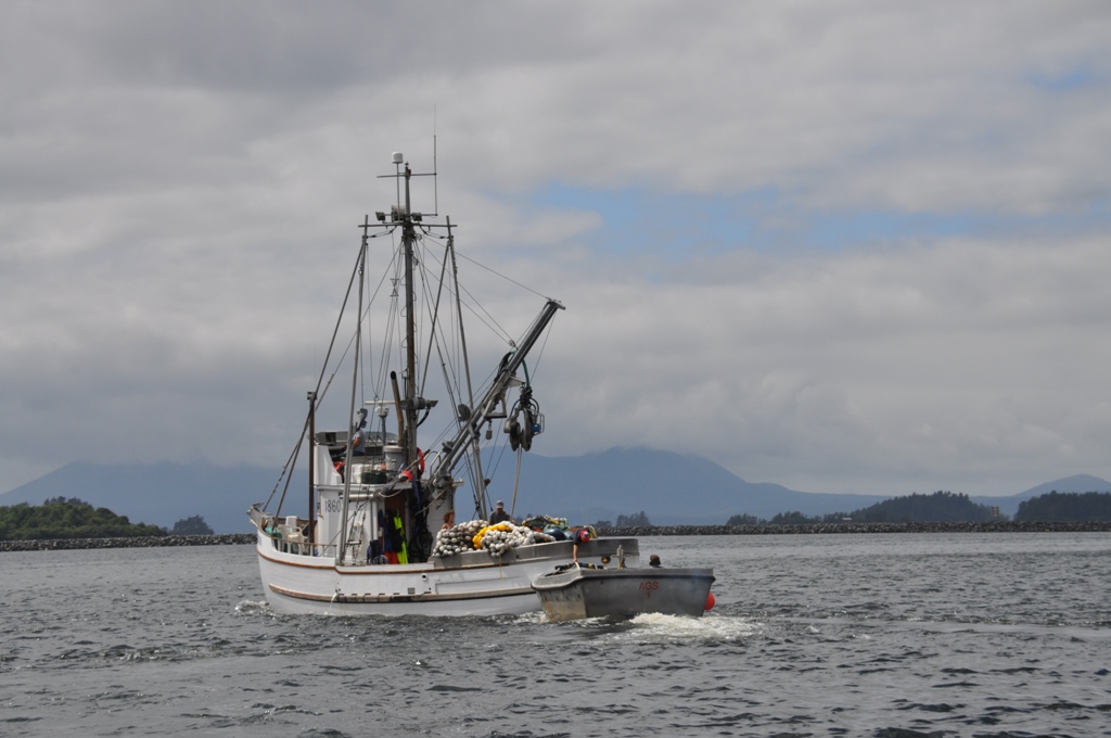 And Willie Said: Sitka's Boats and Eagles -- 7/18/2017