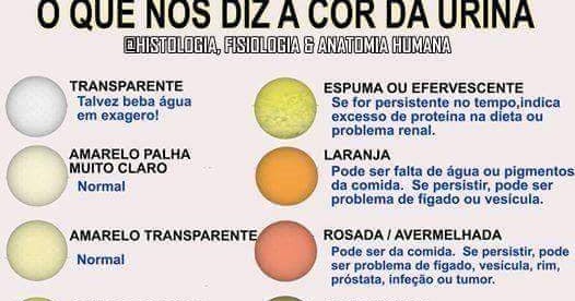 Osteopatia - O corpo como um todo...: O que nos diz a cor da urina...