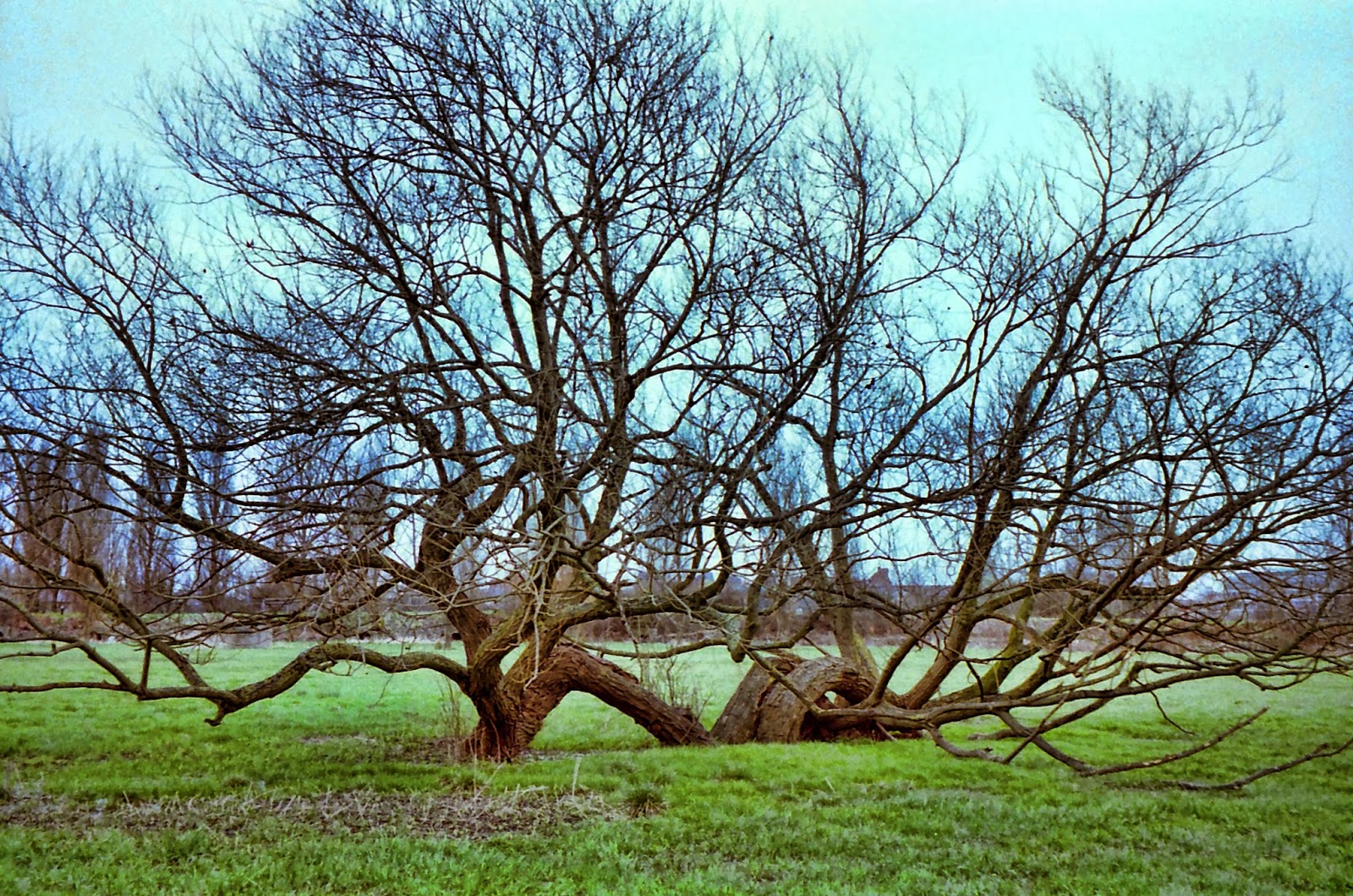 COTSWOLDS CASCADE: February 2014