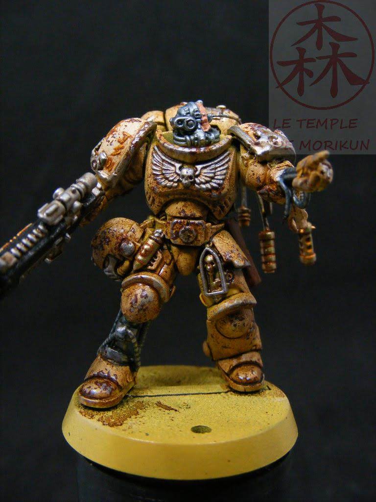 LE TEMPLE DE MORIKUN: GAMES WORKSHOP SPACE MARINE PRIMARIS CONVERTI ...
