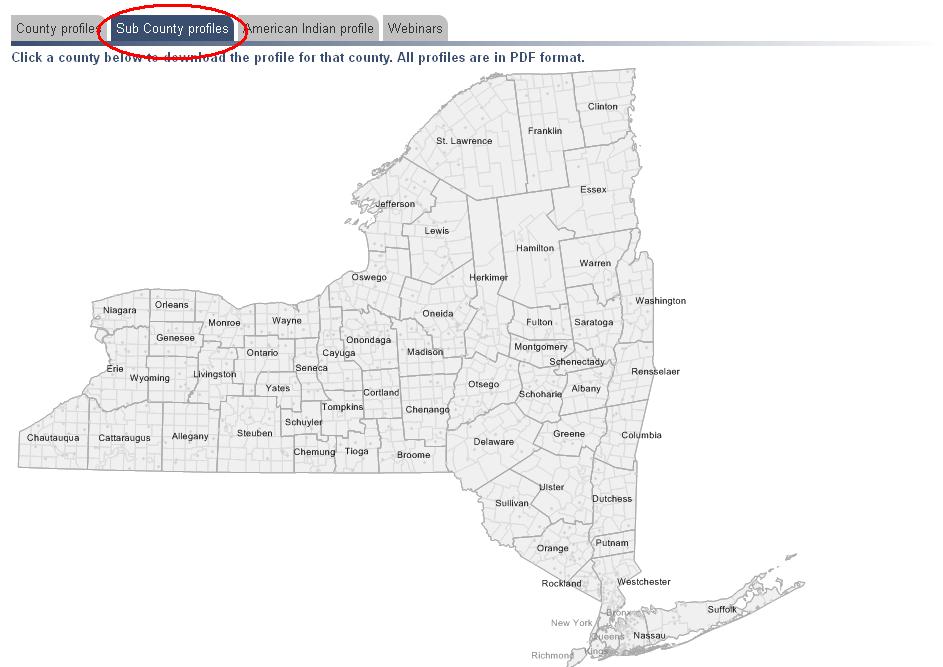 Herkimer and Oneida Counties Census Data Affiliate: August 2013