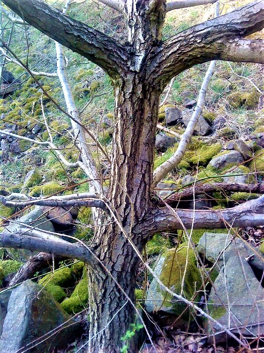 Trev Teasdel Photography: There's Iron in Them Hills - Quarry Great Ayton