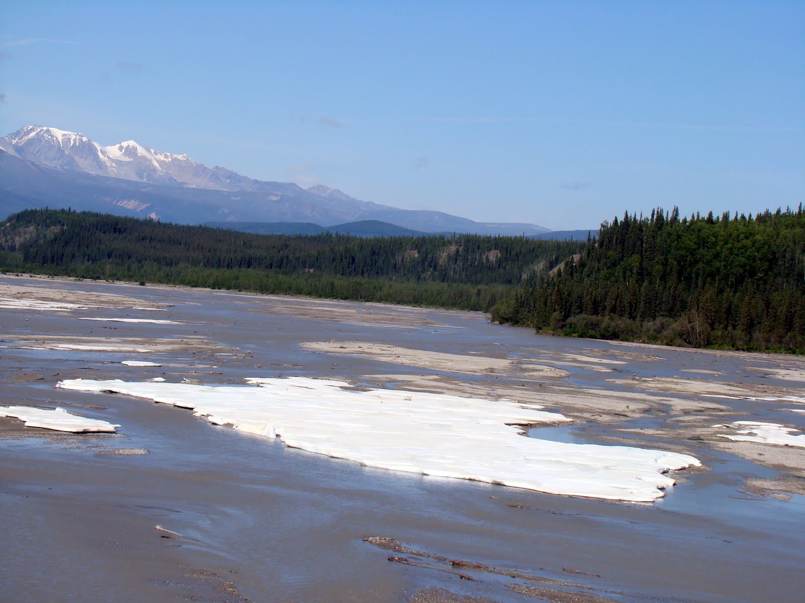 The Arctic Jeep Expedition: Monday, July 11 - Tok to Fairbanks, Alaska
